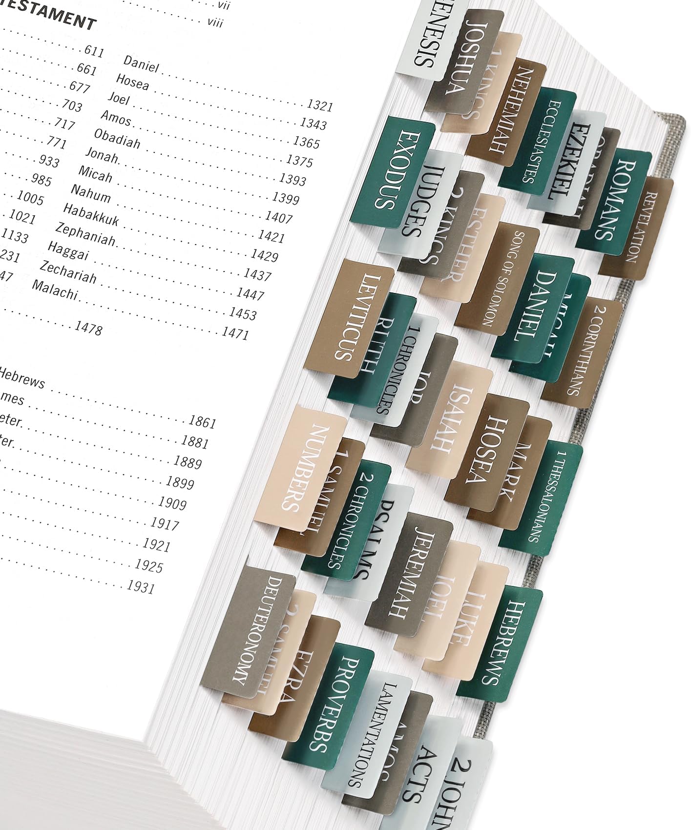 Amazon.com : Bible Tabs for Women & Men, Laminated Bible Tabs for Study ...