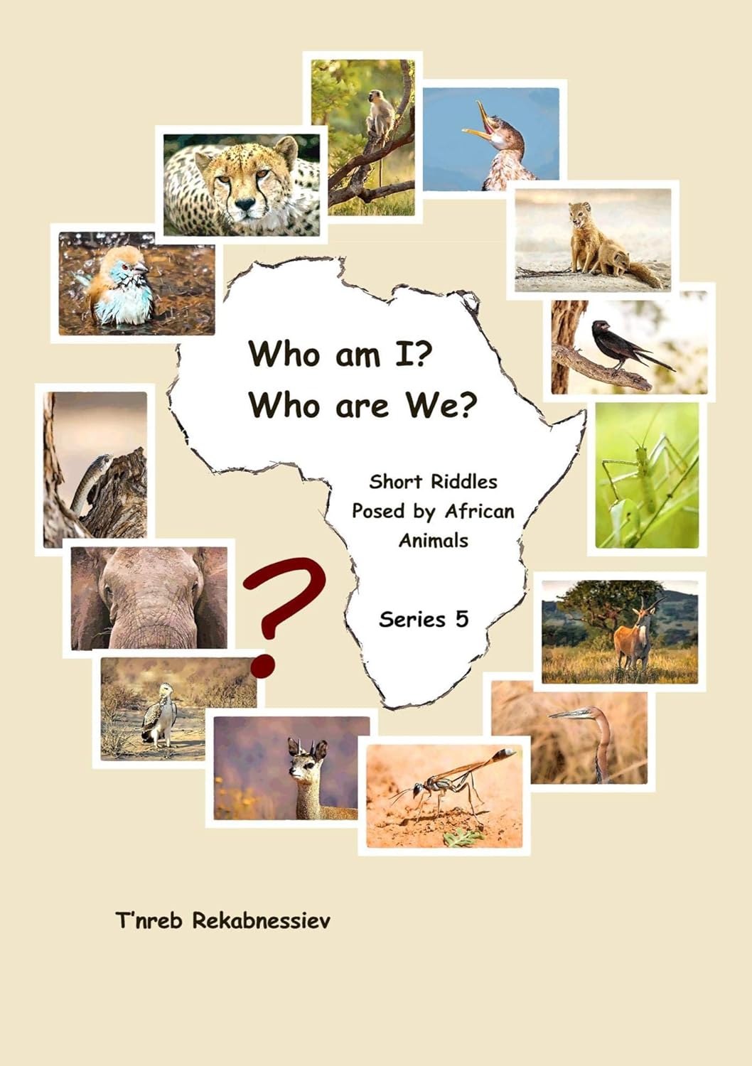 Amazon.com: Who am I? Who are We? Short Riddles Posed by African ...