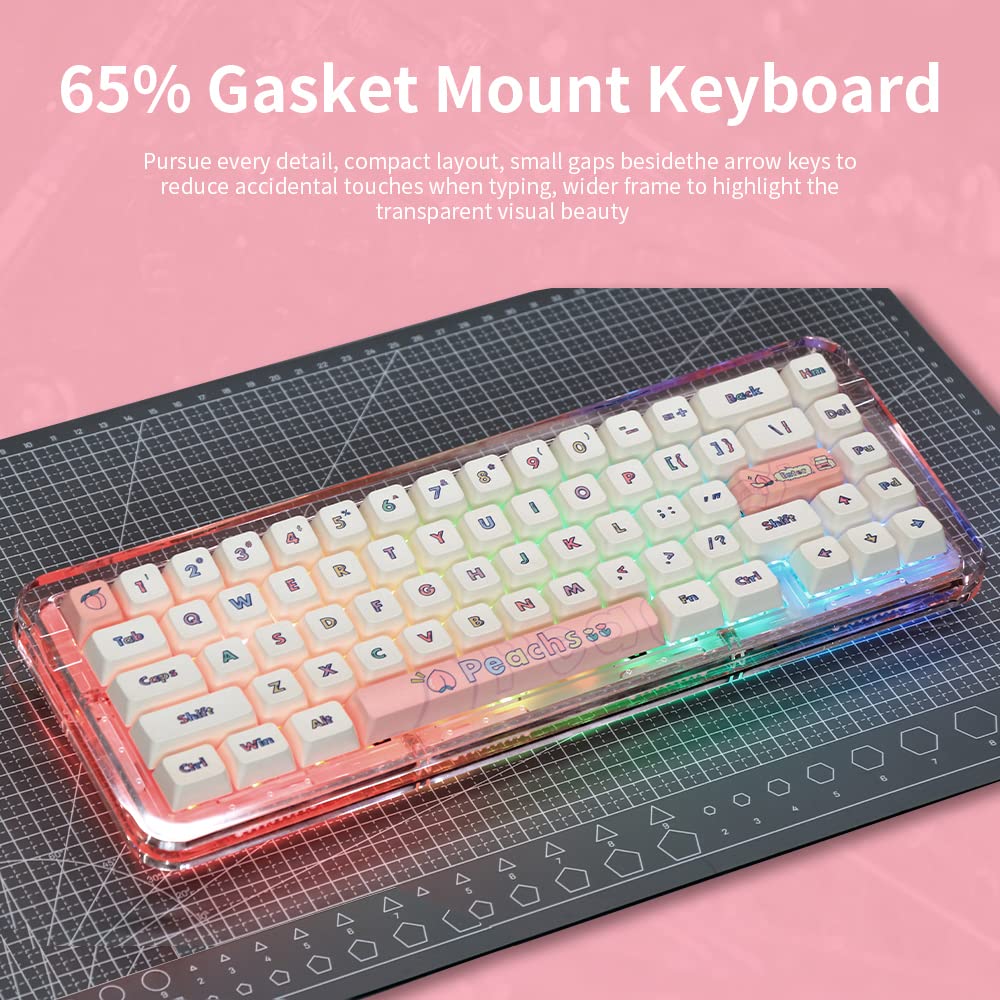 Snapklik.com : NACODEX 65% Transparent Crystal Acrylic Keyboard