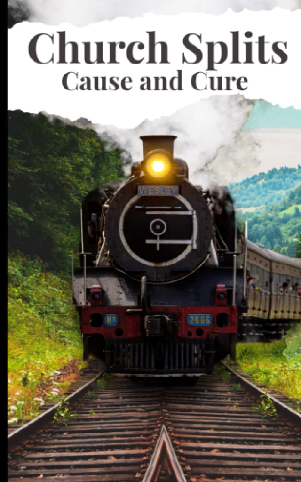 Church Splits: Cause and Cure: Thormodson C.F., Bill: 9798364864772 ...