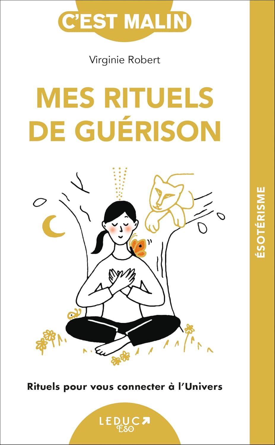 Mes rituels de guérison, c'est malin eBook : Robert, Virginie, Ollier ...