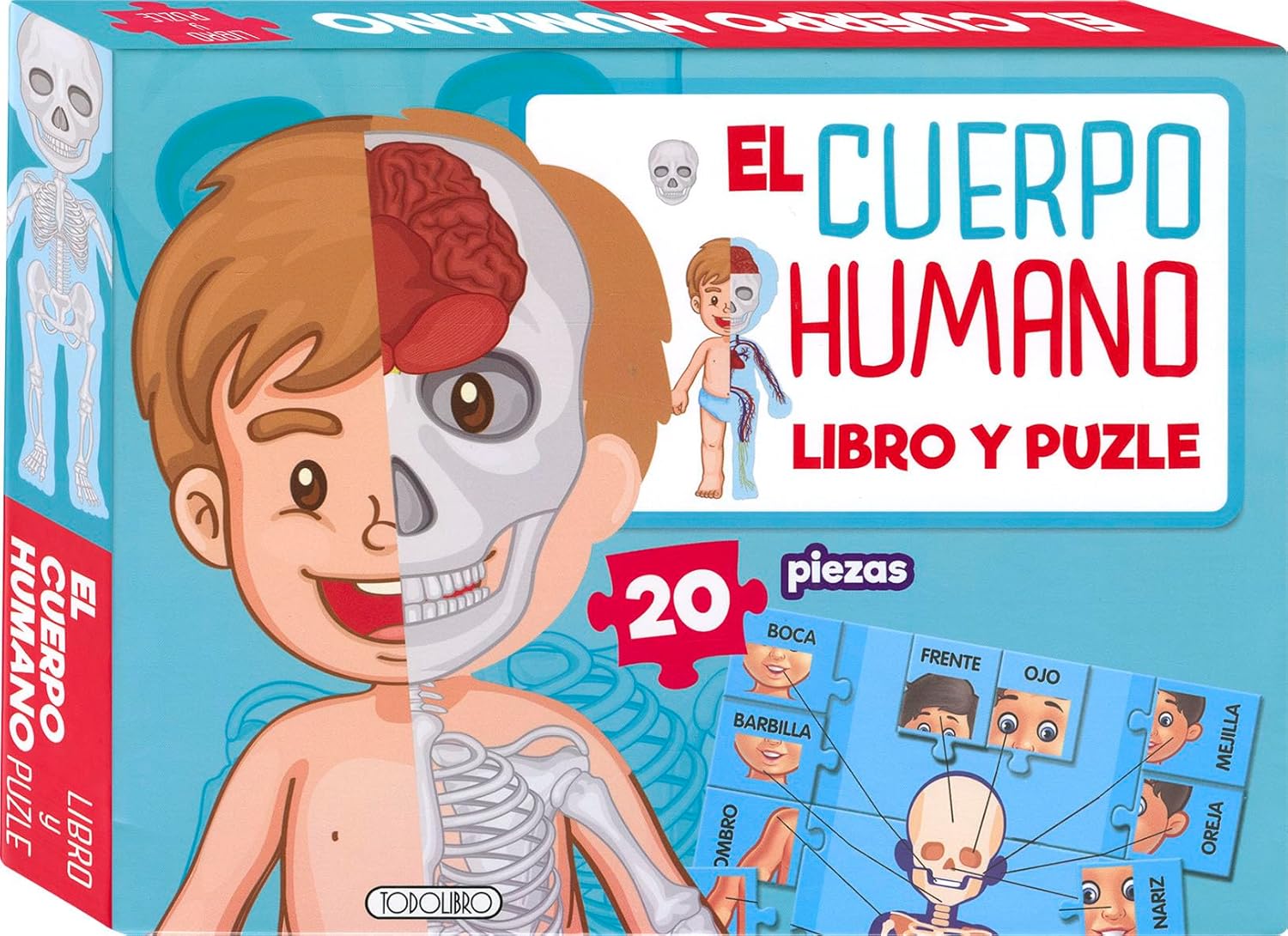 El cuerpo humano (Mi caja de...) : Equipo Todolibro: Amazon.es: Libros