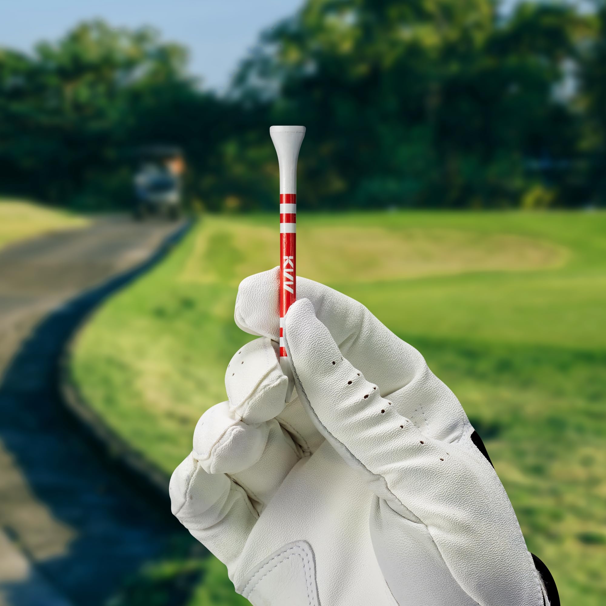 Snapklik.com : KVV Bamboo Golf Tees 18-Pack In Cigarette-Style Case ...