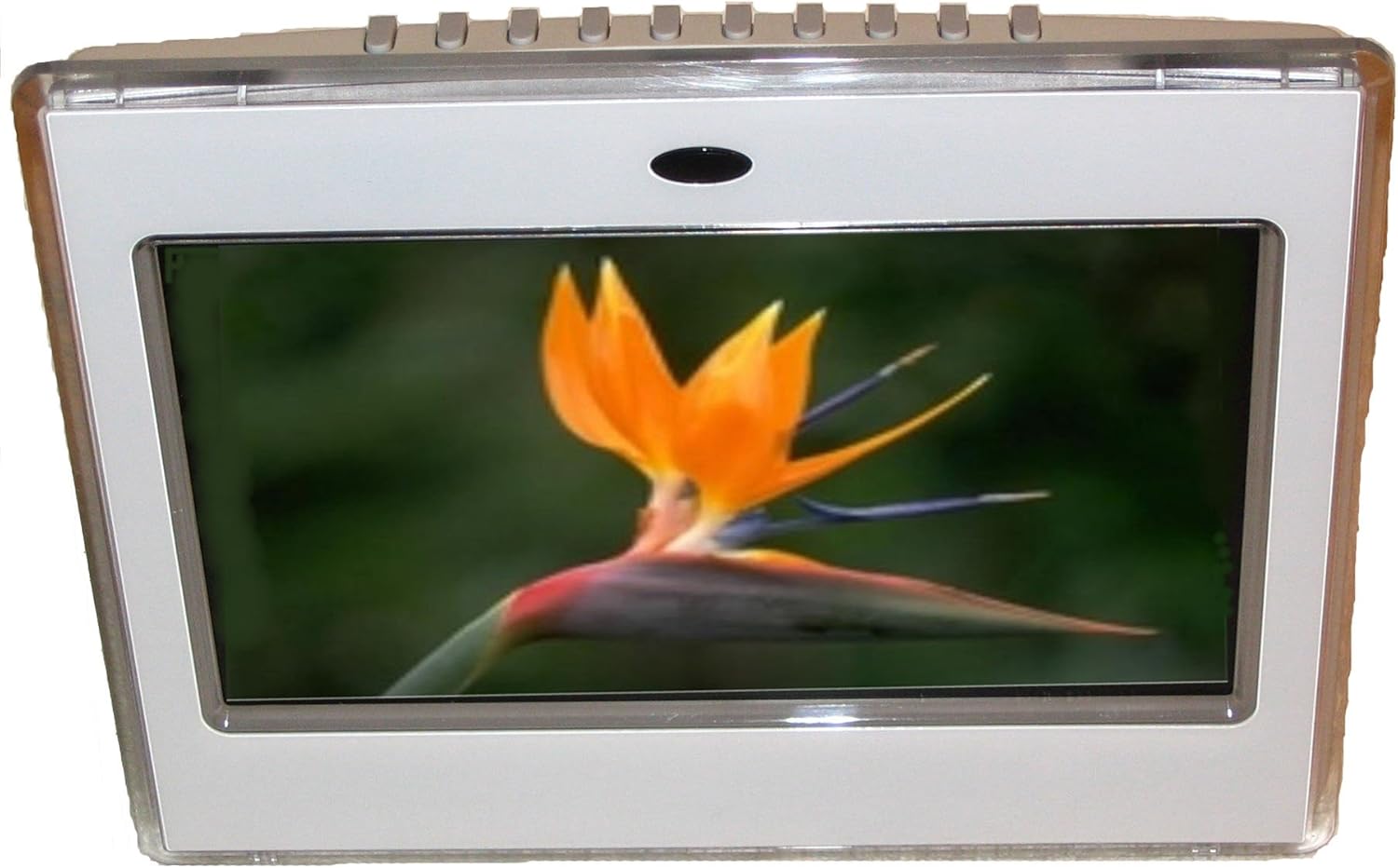 Amazon.com : Digital Frames Inc. DPF-70 7-Inch Digital Picture Frame ...