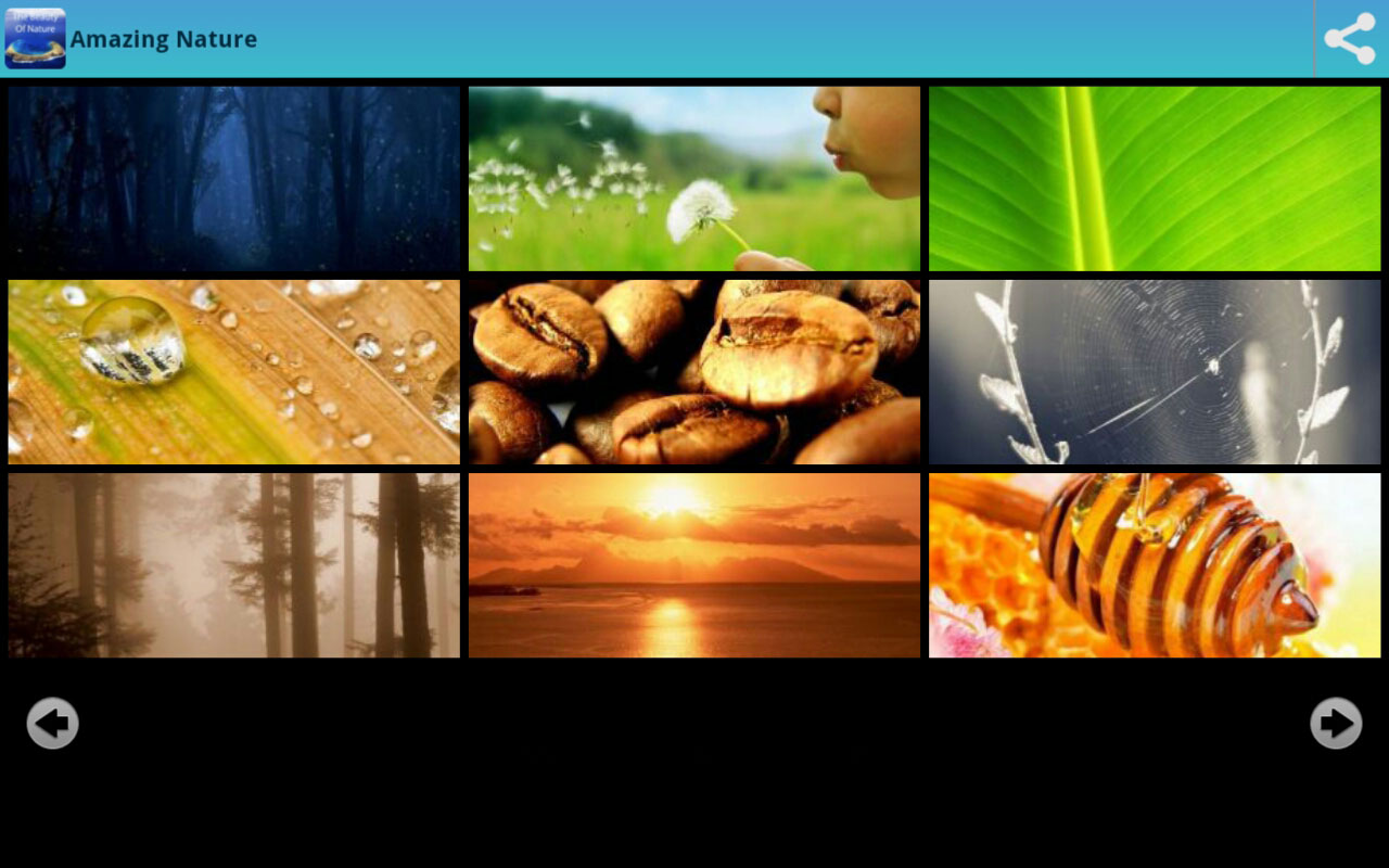 Amazing Nature Wallpapers - App on Amazon Appstore