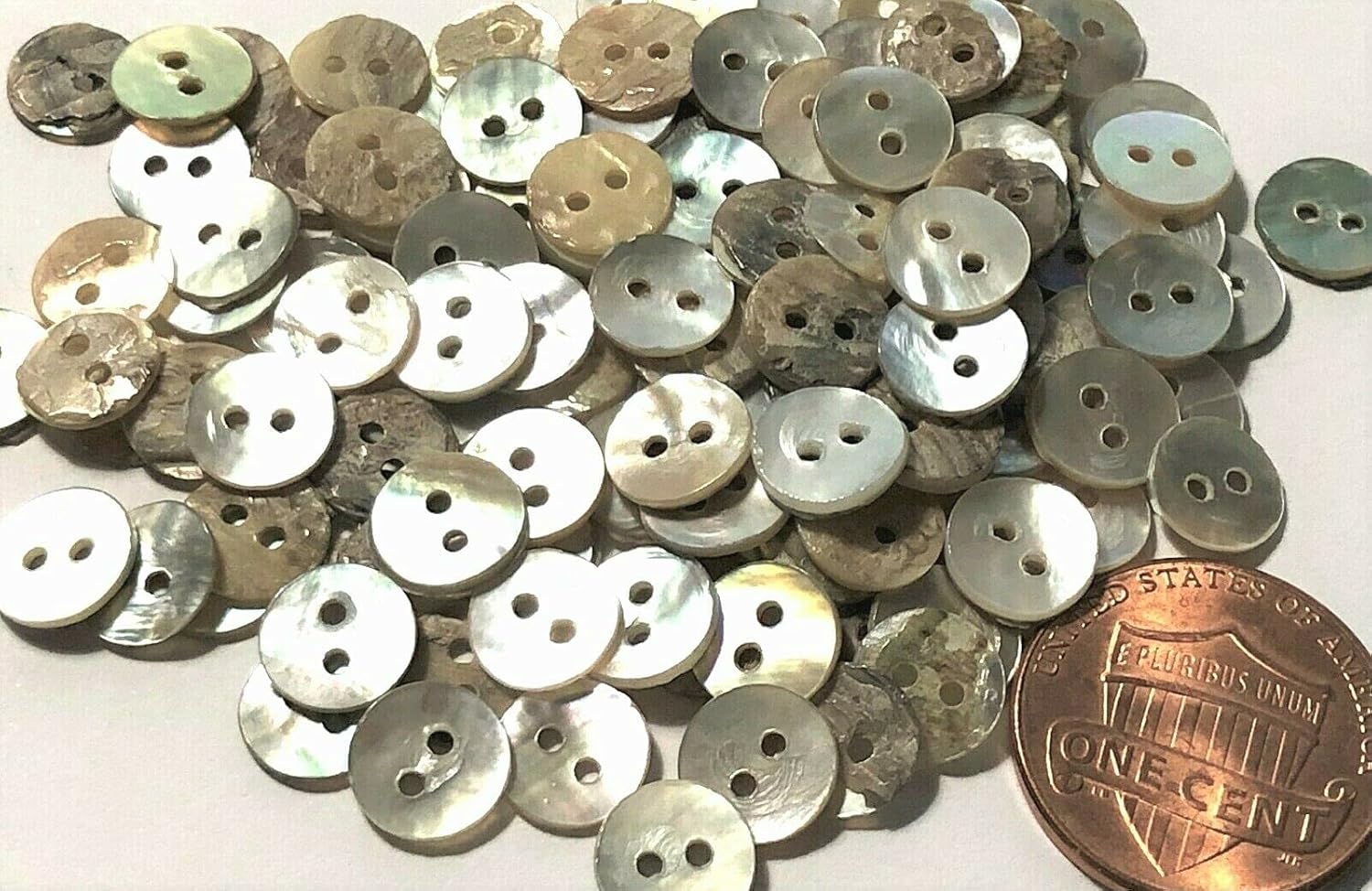 Amazon.com: 12 PCS ONLY!! Teeny Tiny Iridescent nkLG Abalone Shell ...