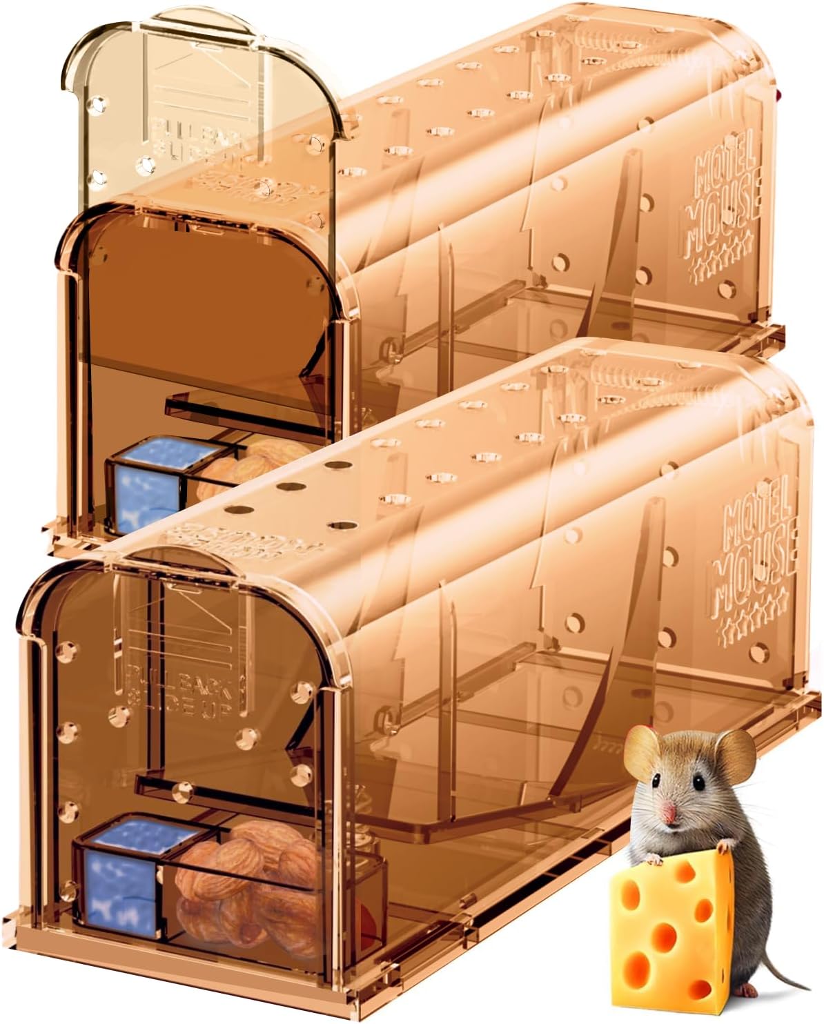 Amazon.com : Motel Mouse Humane Mouse Traps No Kill Live Catch and ...