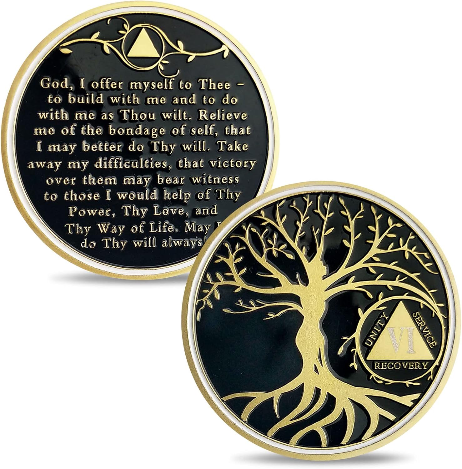 Amazon.com : 6 Year Sobriety Chip| AA Coins and Medallions| Tree of ...