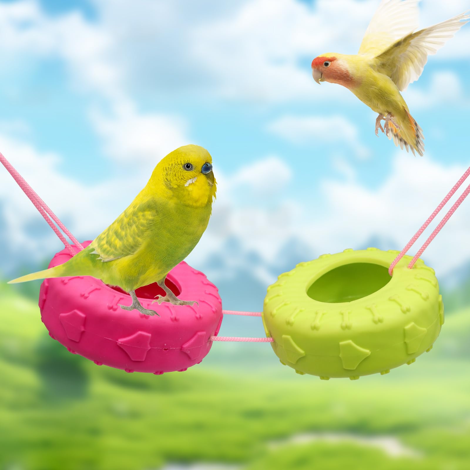 Parrot Toys 2PCS Bird Slow Feeder Mats, Bird Foraging Toys Puzzle ...