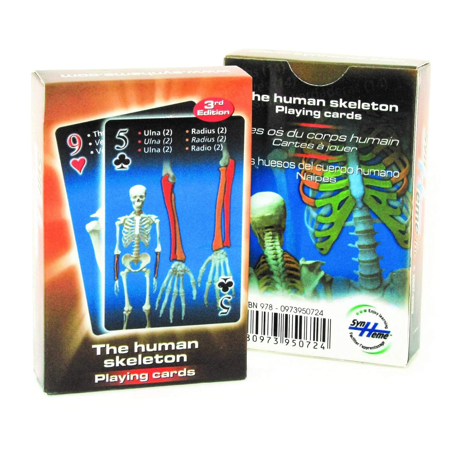 Amazon.com: Human skeleton playing cards (English, Spanish and French ...