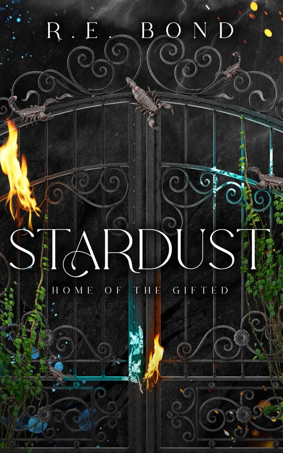 Amazon.com: Stardust: Home of the Gifted: 9781922837257: Bond, R.E.: Books