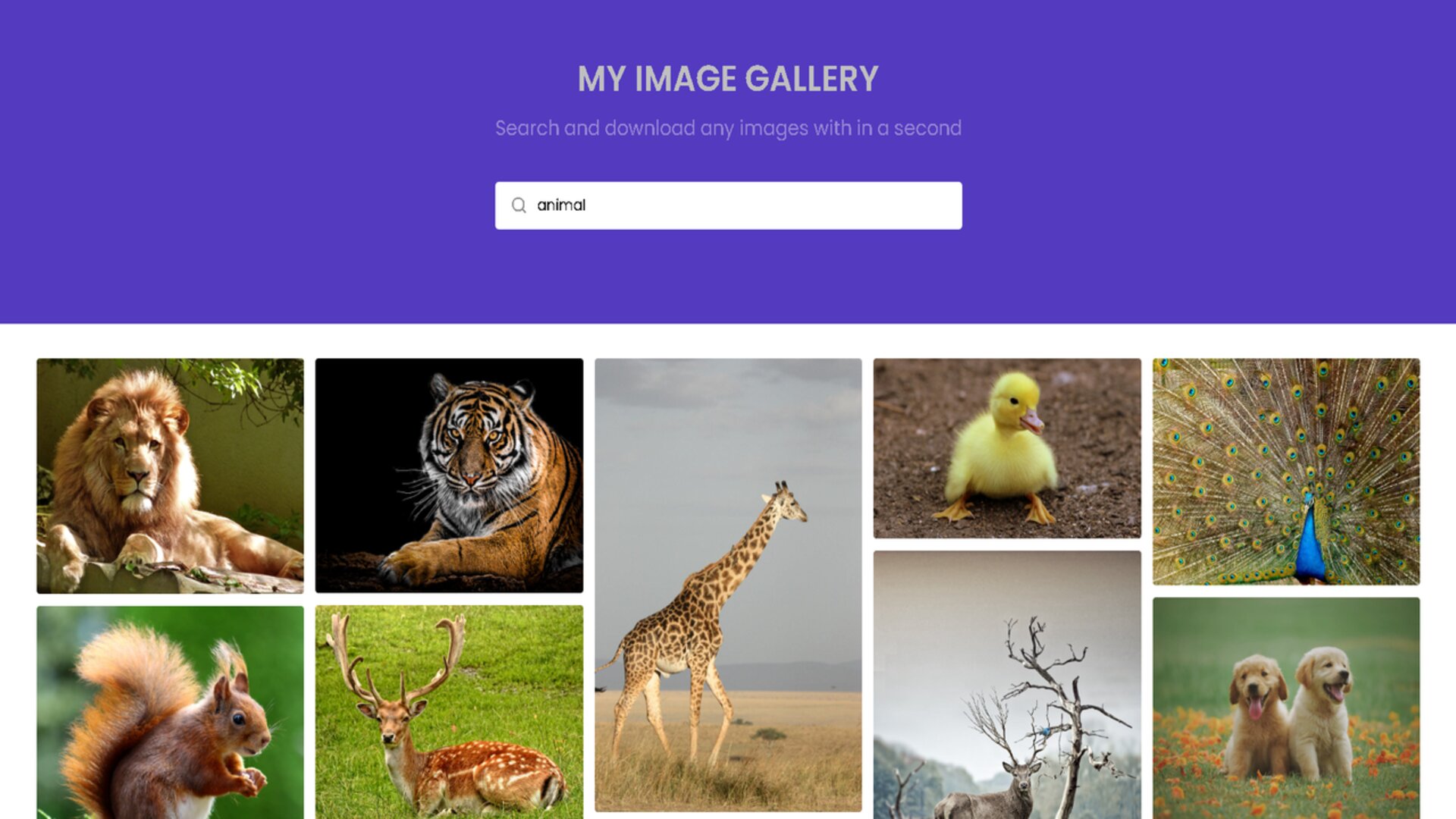 Image Search Engine - App on Amazon Appstore
