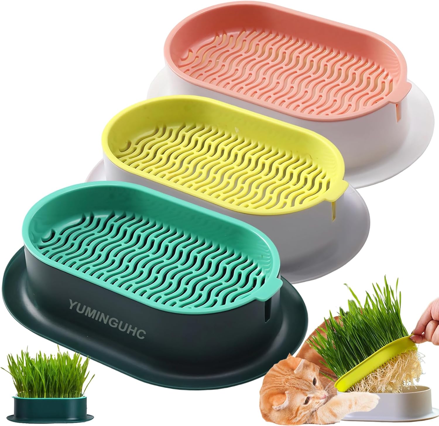 Amazon.com : YUMINGUHC 3Pcs Cat Grass Planter Hydroponic Catnip ...