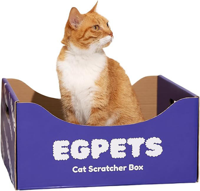 Amazon.com : Cardboard Cat Scratcher Box with Extra-Large Double-Sided ...
