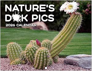 Natures D*cks Calendar 2026, Inappropriate Calendar 2026, Funny Wall ...