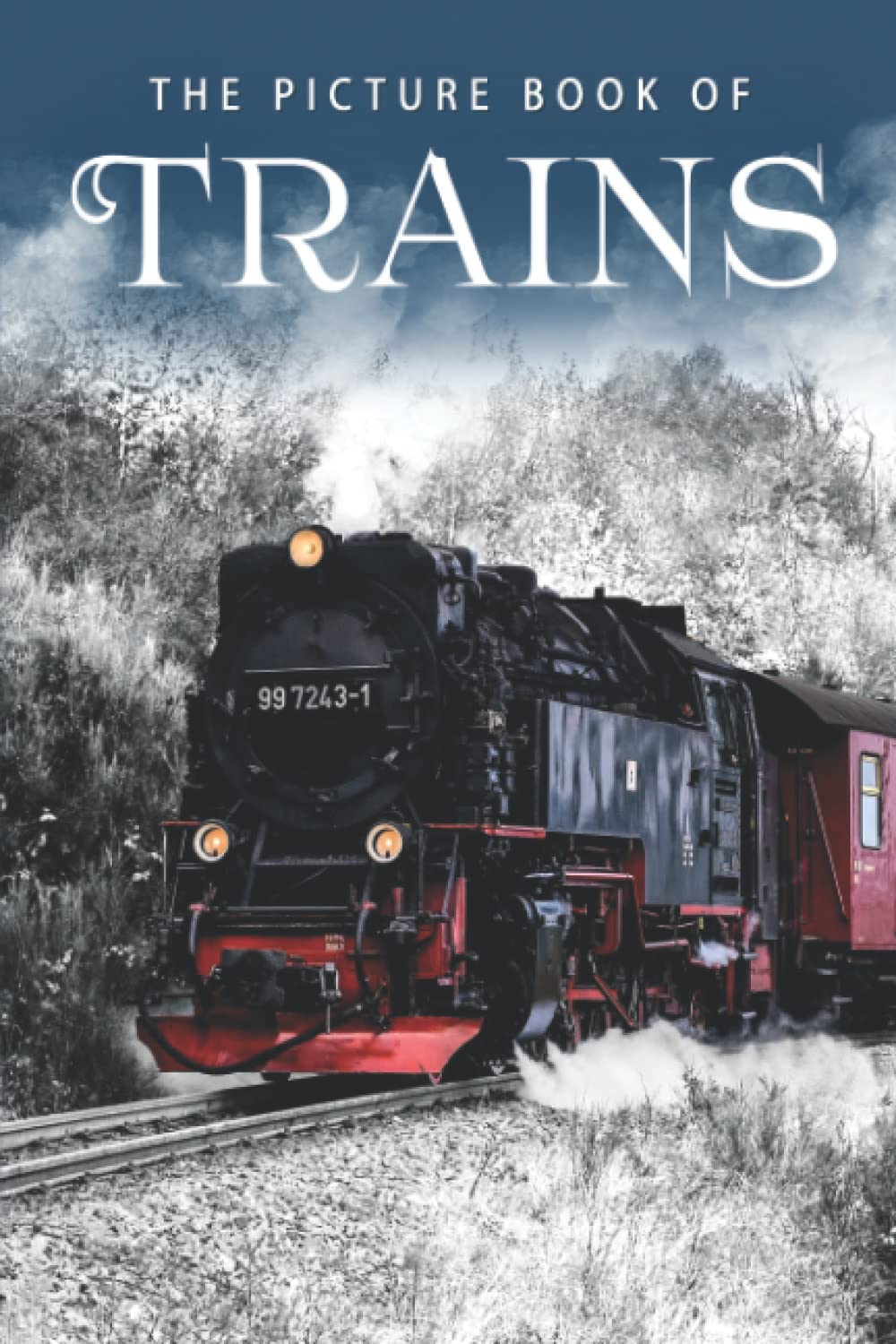 The Picture Book of Trains: A Gift Book for Alzheimer's Patients and ...