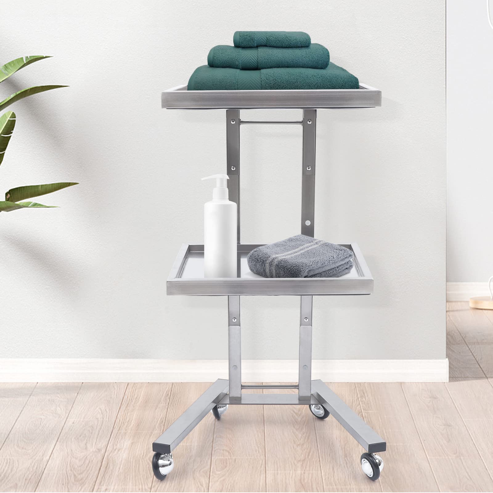 Amazon.com: JINHZIXIU 2 Tier Beauty Salon Spa Trolley Rolling Utility ...