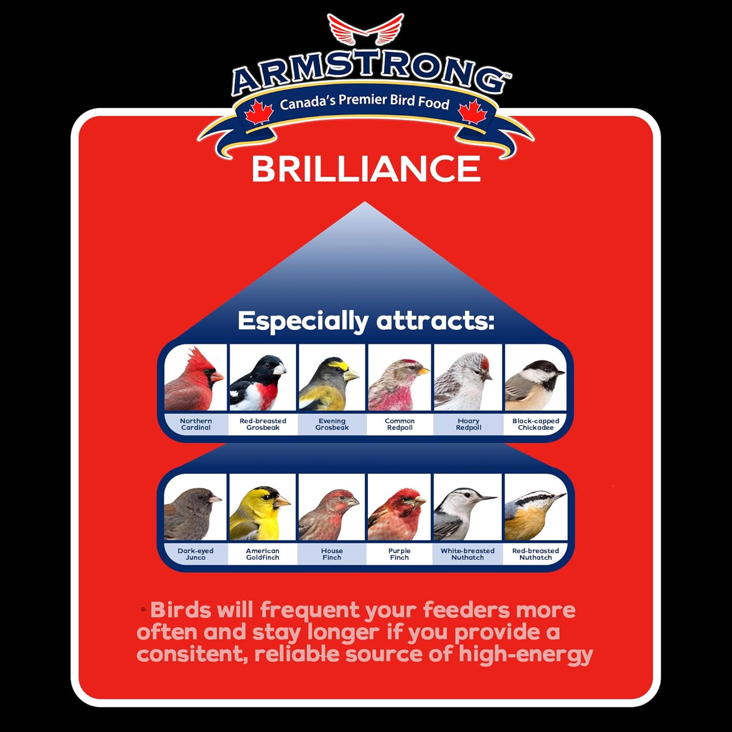 Armstrong Wild Bird Food Royal Jubilee Brilliance – Mezcla de semillas ...