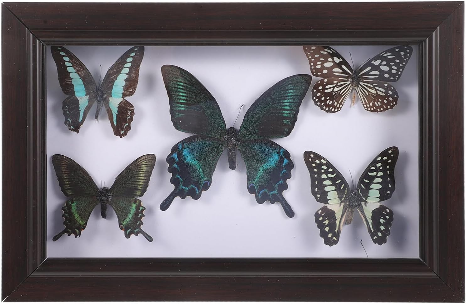 Amazon.com - Abaodam Home Decor Wooden Shadow Box with Butterfly ...