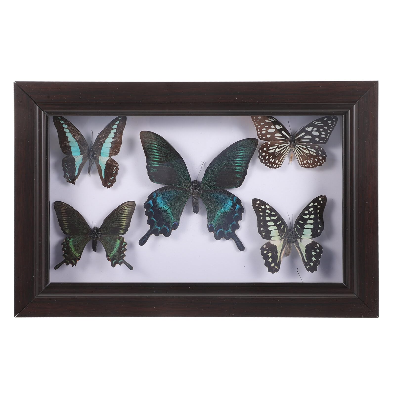 Amazon.com - Abaodam Home Decor Wooden Shadow Box with Butterfly ...