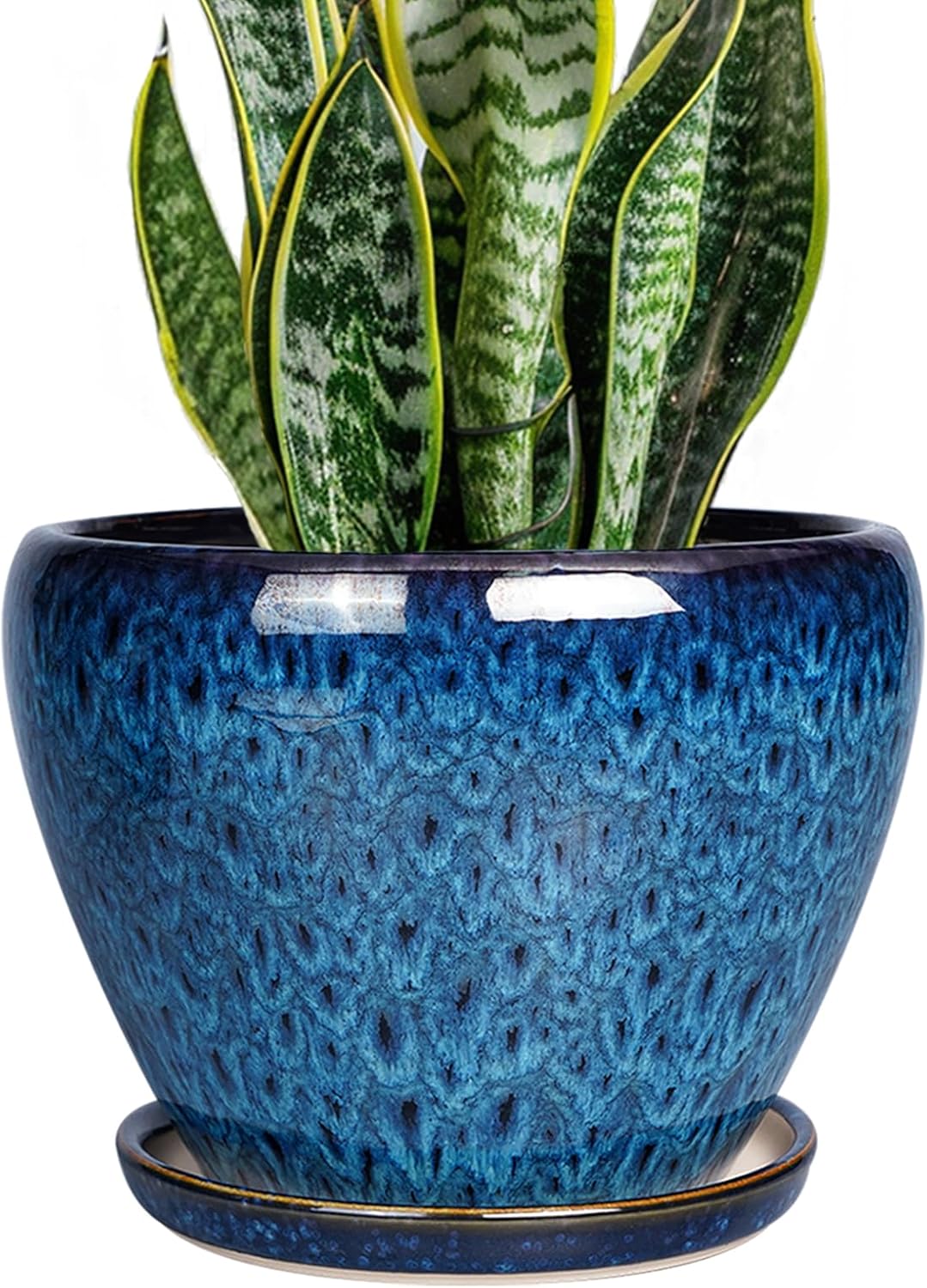 Amazon.com : Ceramicfor 8 Inch Ceramic Plant Pot, Ceramic Planter Pot ...
