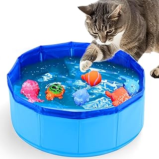 Cat Goes Fishing: Snoutfish Strategy Guide | PetShun