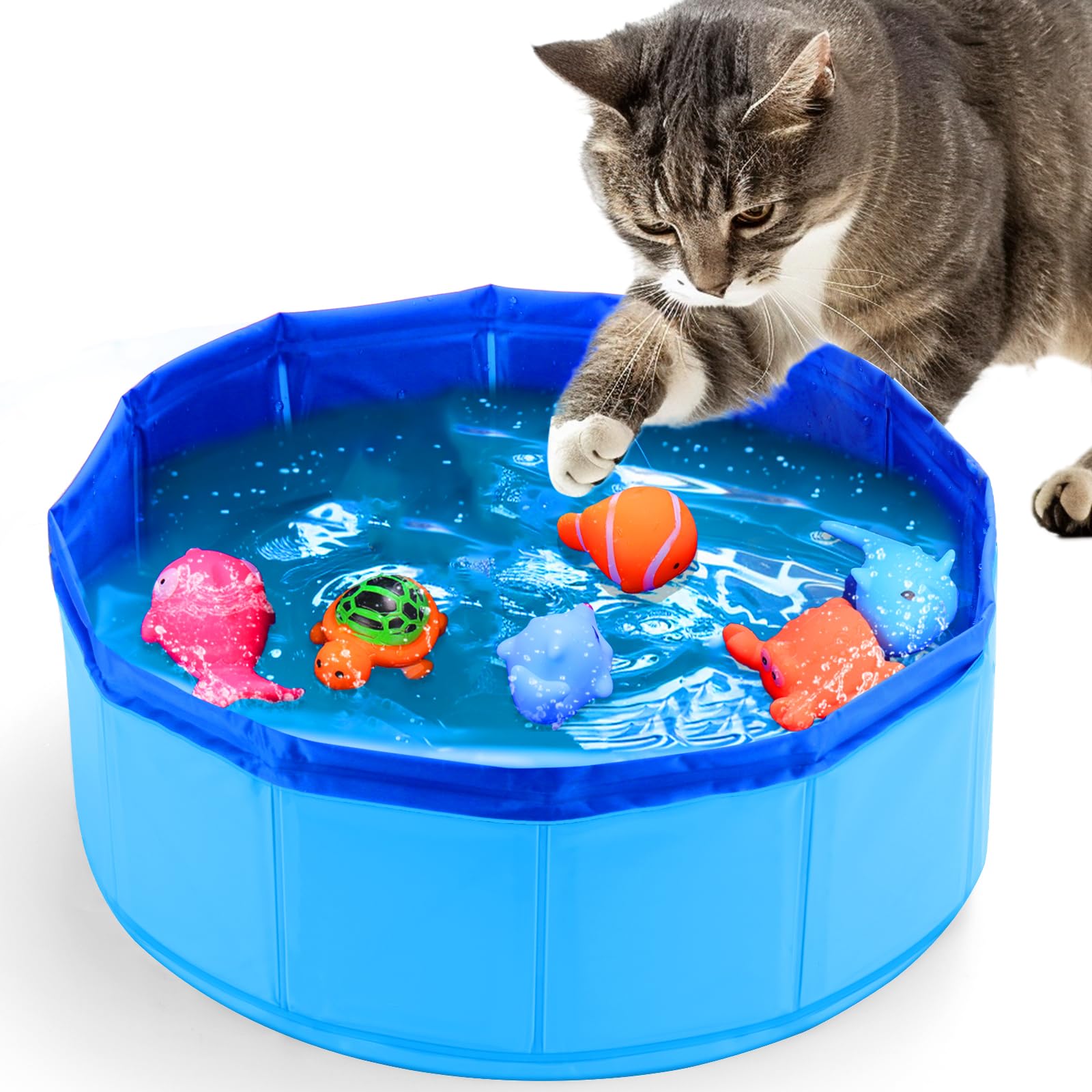 Amazon.com: BABORUI Cat Pool Toy with Fish-Water Cat Toys, Portable Cat ...