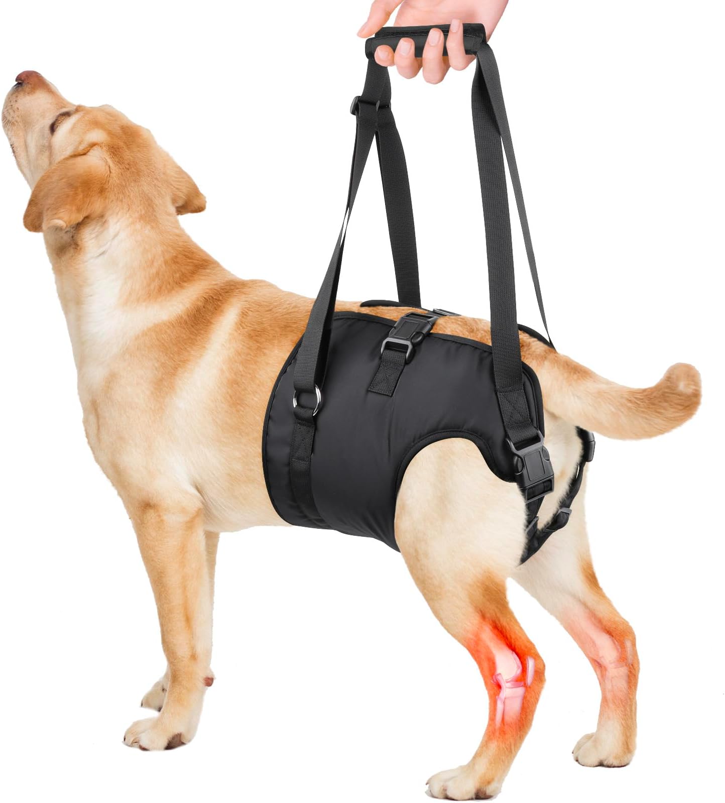 PZRLit Dog Lift Harness - Adjustable Mobility Aid Sling for Large Dogs ...