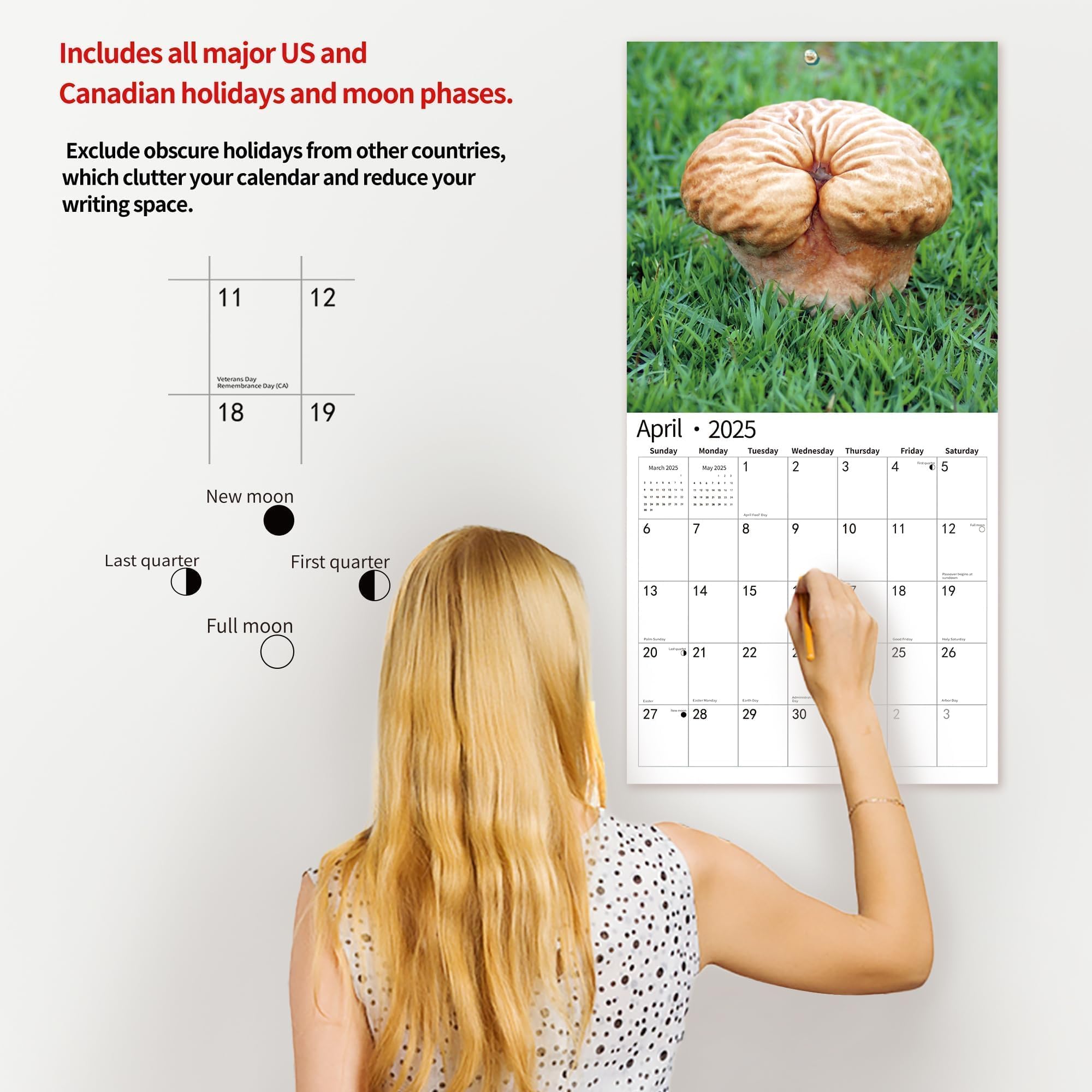 Snapklik.com : 2025 Wall Calendar Funny Natures Dongs, January 2025 ...