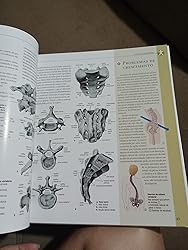 Atlas Ilustrado de Anatomia | Amazon.com.br