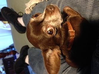 Amazon.com: Memory Man (Memory Man Series, 1): 9781455559800: Baldacci ...