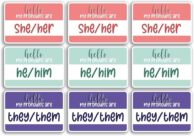 A5 Sticker Sheet My Pronouns are Vinyl Stickers - She/Her He/Him They ...
