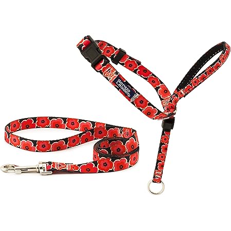 Amazon.com : PetSafe Chic Gentle Leader Headcollar, No-Pull Dog Collar ...