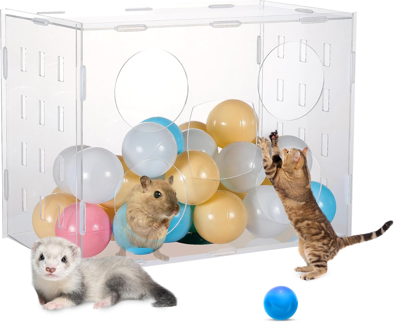 Amazon.com: BALAPET Transparent Ferret Ball Pit Detachable Breathable ...