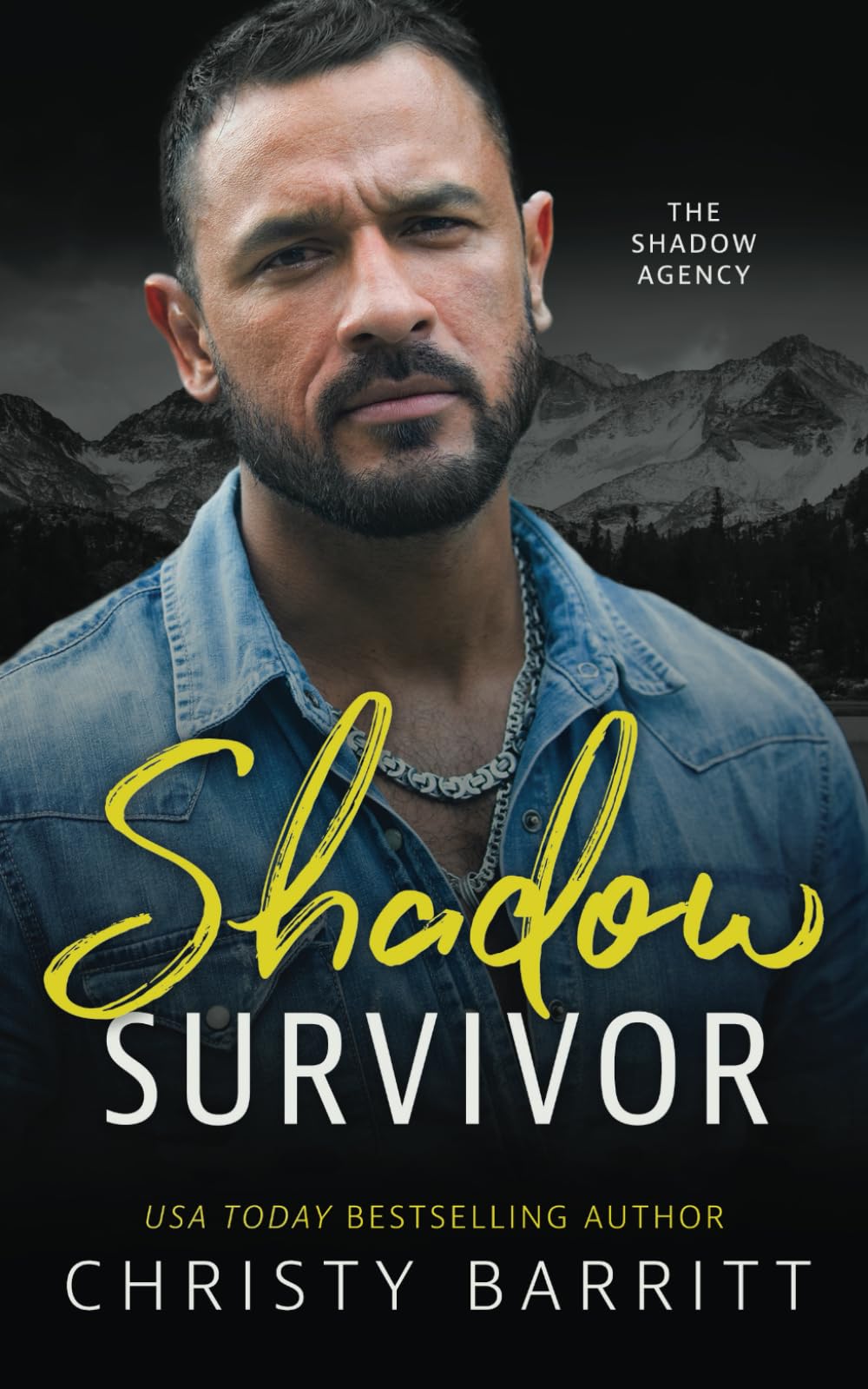 Shadow Survivor (The Shadow Agency): Barritt, Christy: 9798344202082 ...