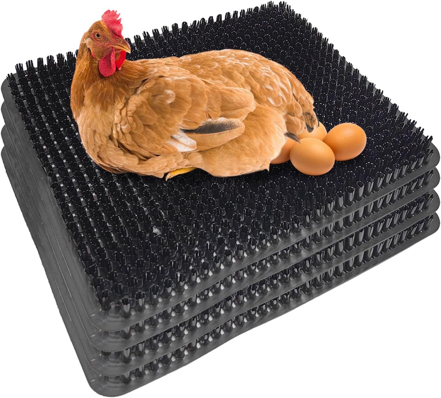 Amazon.com: 16 Pieces Chicken Nesting Pads Chicken Nesting Box Plastic ...