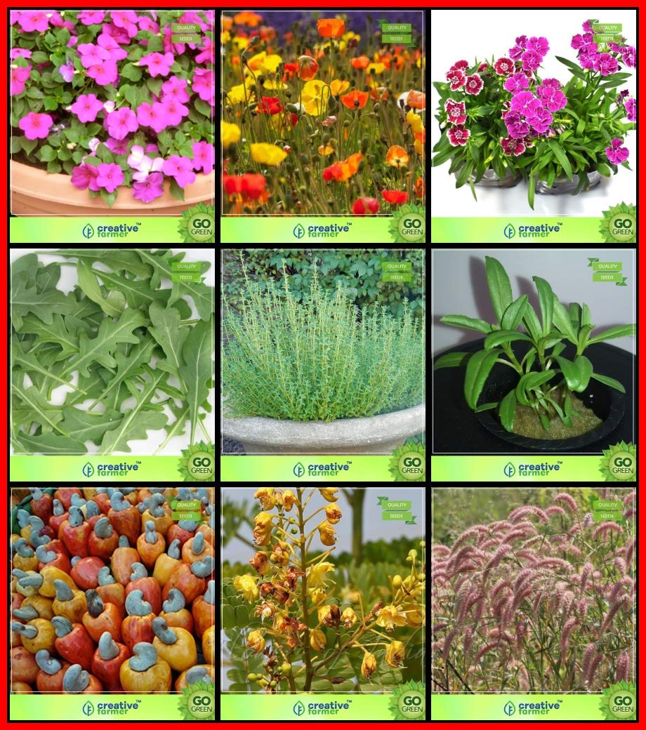Creative Farmer Garden Flower Seeds All Season Combo Flower Seeds ...