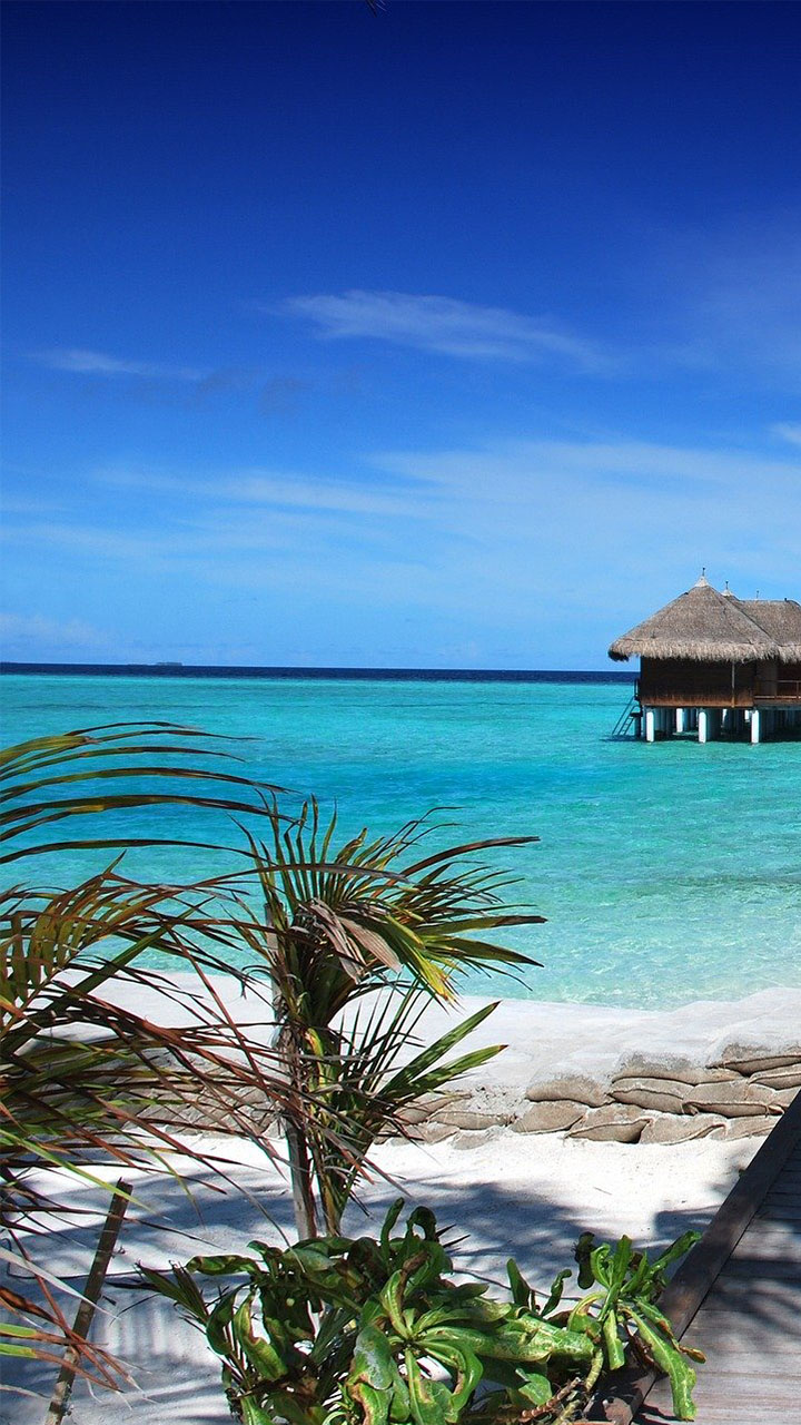 beach wallpapers and backgrounds - App on the Amazon Appstore