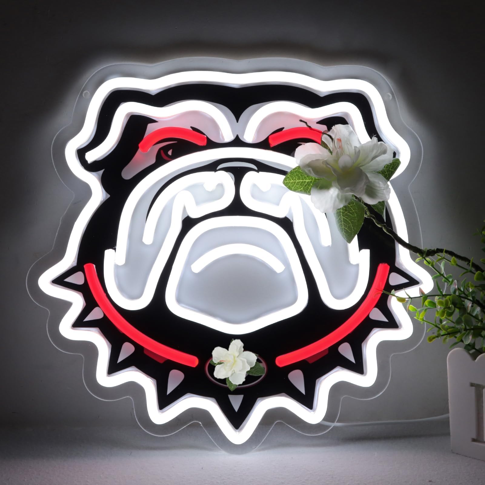 Amazon.com : Hangtime University of Georgis (UGA) - Georgia Bulldogs ...