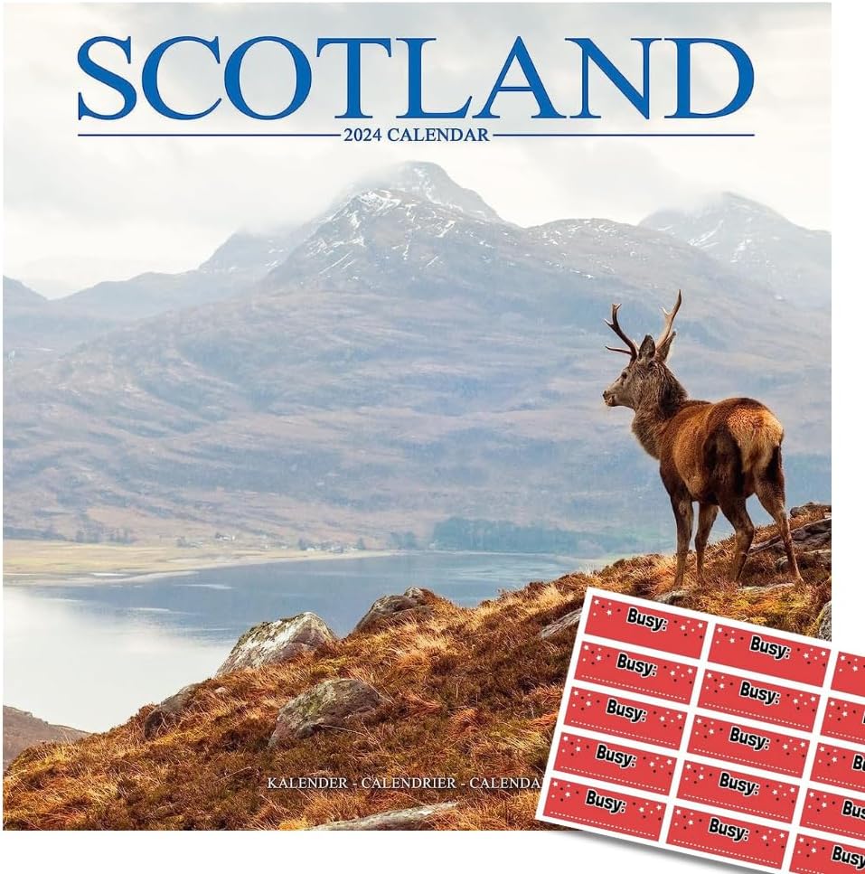 We Love Men In Kilts Large Wall Calendar 2024 : Amazon.co.uk ...