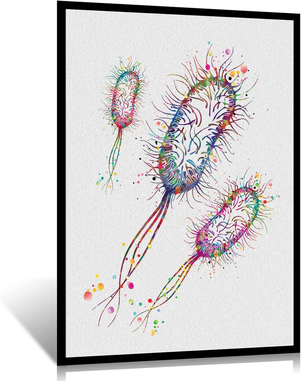 Amazon.com: MEDICAL DECORATIONSEscherichia Coli Watercolor Print ...