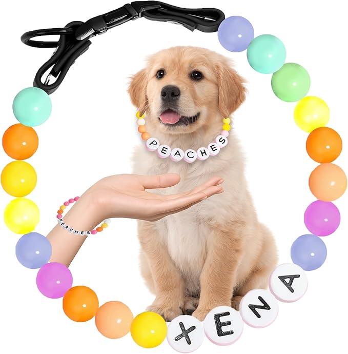Amazon.com : Personalized Beaded Dog Collar Custom Pet Collar with Pet ...