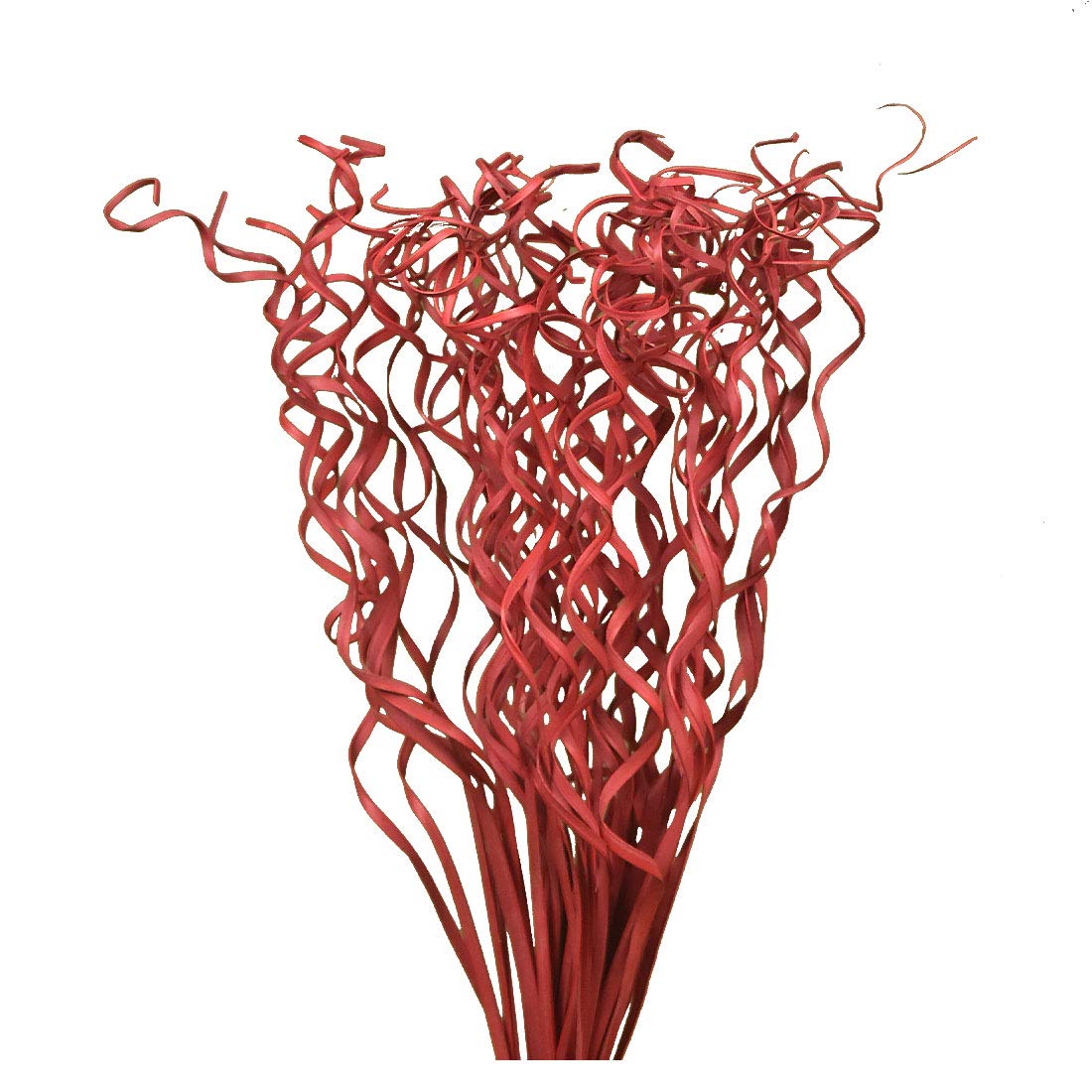 CRAFTWAFT RED SPAIRAL Long Handmade Sticks Floral Bunches Dry Flower ...