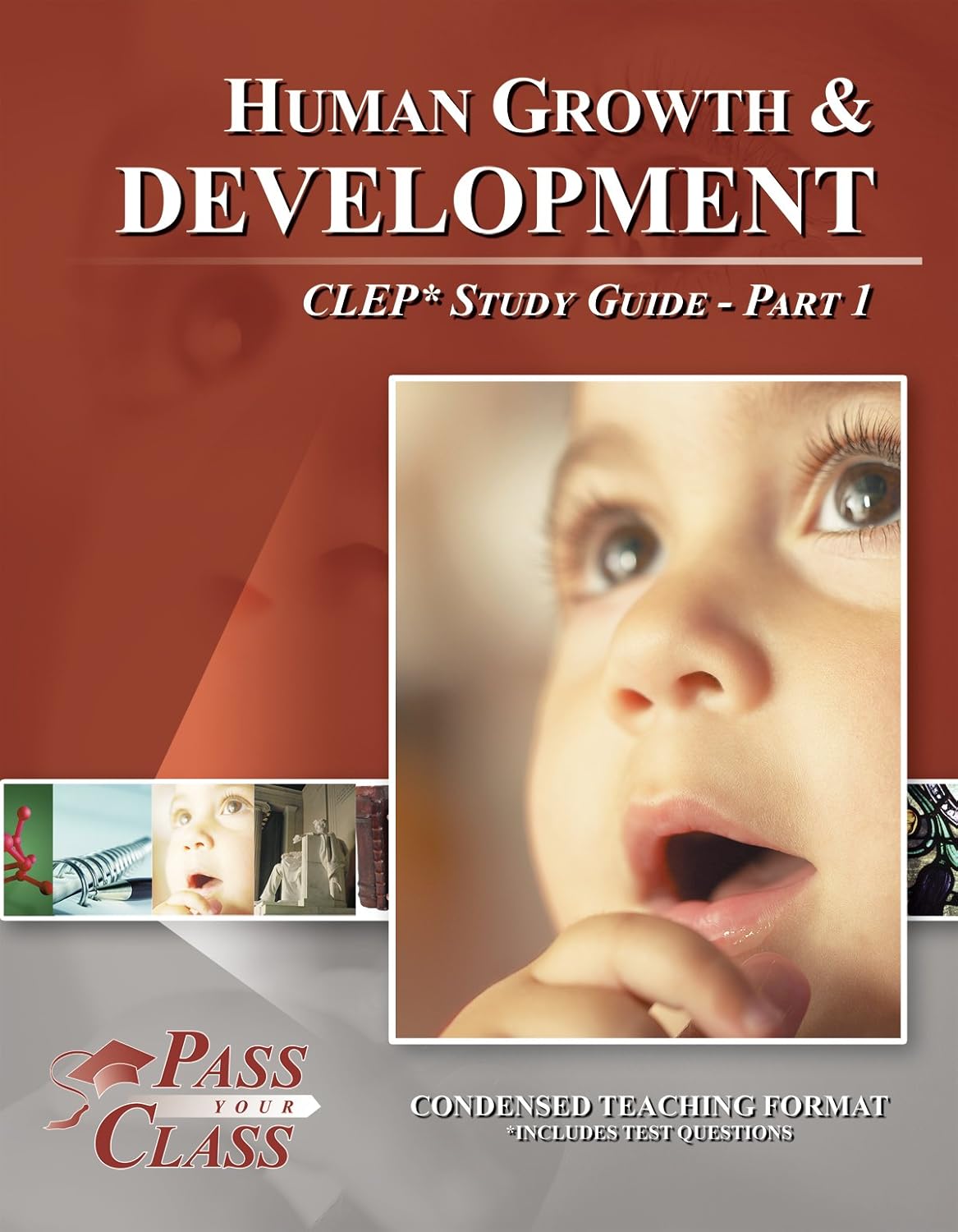 Amazon.com: Human Growth and Development CLEP Test Study Guide - Pass ...