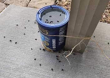 Amazon.com : BASF PT Alpine Fly Bait, Fast Acting and Long Lasting Up ...