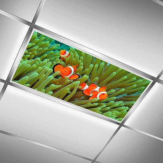 2 Pack Fluorescent Light Cover for Ceiling Light -Seagrass Fish ...