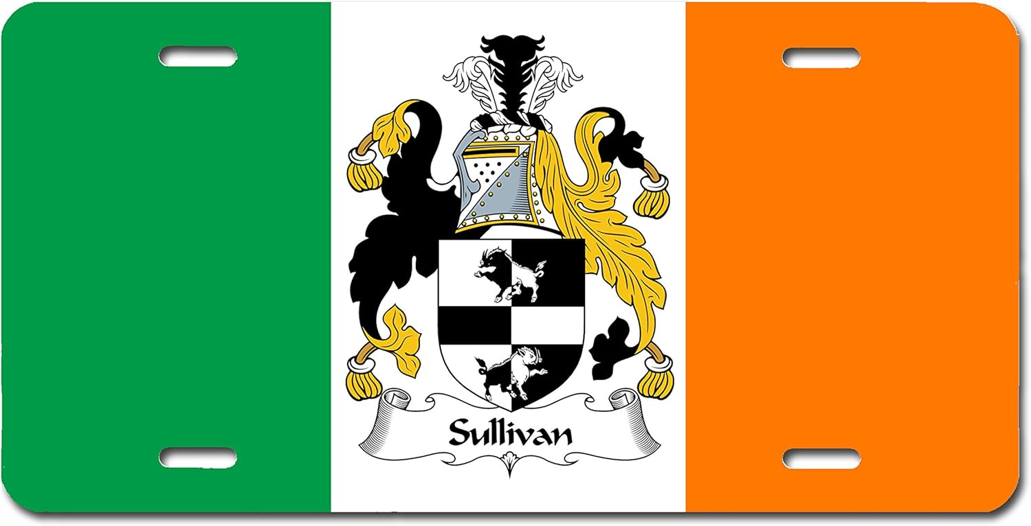 Amazon.com: Carpe Diem Designs Sullivan Coat of Arms/Sullivan Family ...