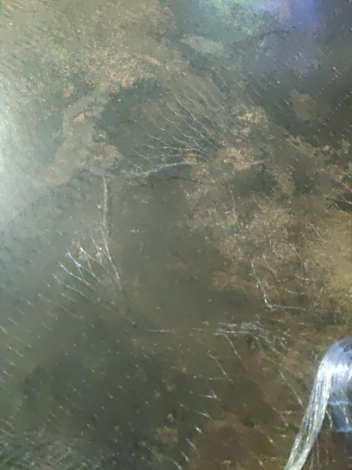 Buy PURKAIT FISHNET 1 FINGER 30mm GILLNET MUD SINKER, HEIGHT 5F, UP ...