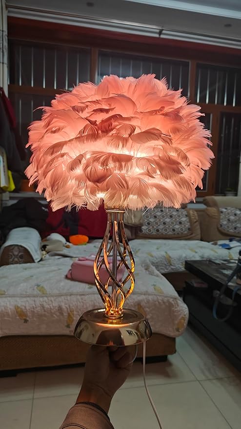 LINCWONZ Feather Table Lamp with Unique Golden Spiral Cage Base - 3 ...
