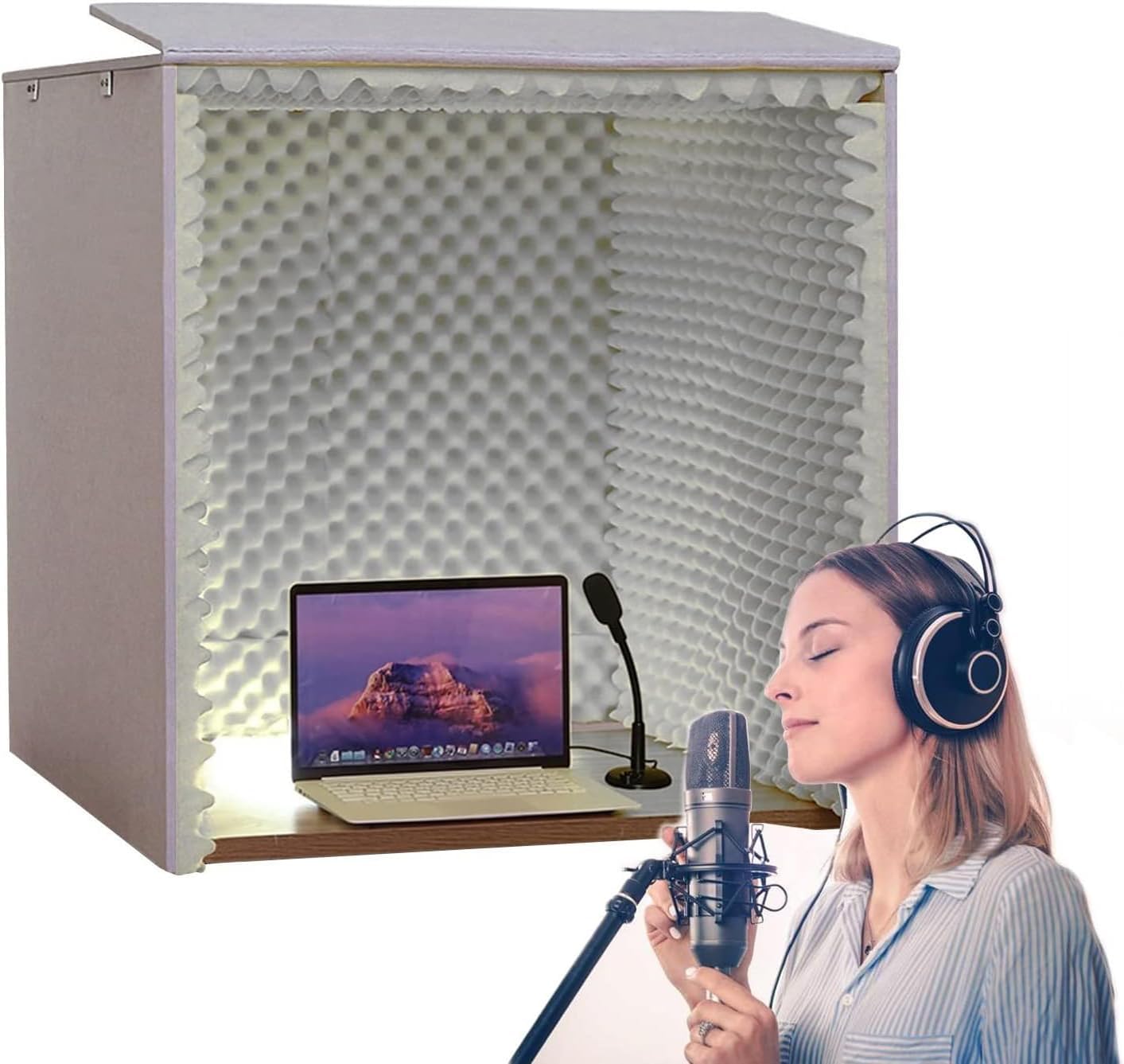 Portable Soundproof Booth, Microphone Isolation Shield, Professional ...